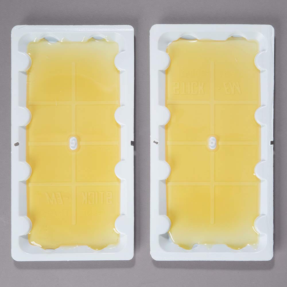 JT Eaton 111-24 Stick-Em Rat and Mouse Glue Trap Tray, 10" x 5", Non-Toxic, White, Case of 24