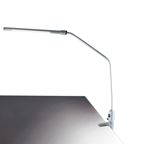 Desk Lamp with Clamp - Modern Contemporary LED Clip on Light for Desk or Table - Accessories for Home Office or Dorm Room by Lavish Home (Silver)