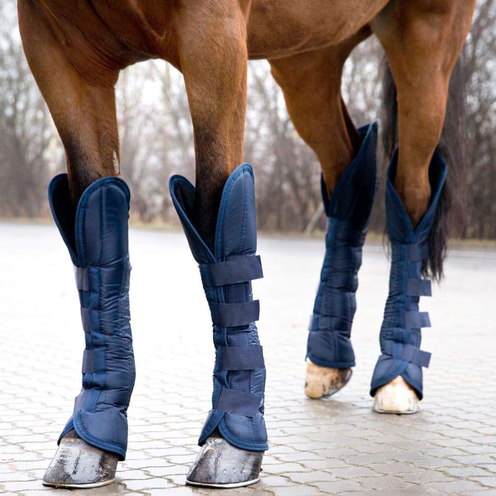 HORZE Horse Shipping Boots Set of 4 - Peacoat Dark Blue - Cob