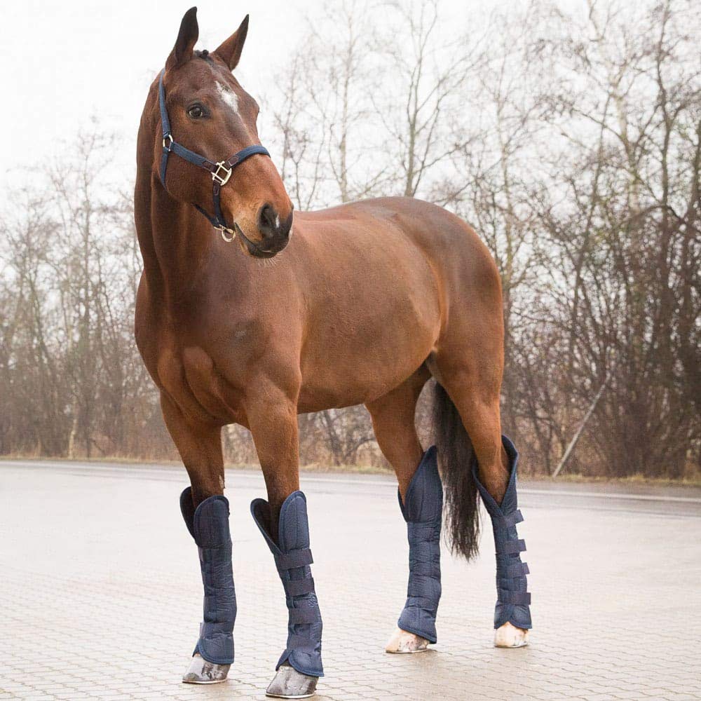 HORZE Horse Shipping Boots Set of 4 - Peacoat Dark Blue - Cob