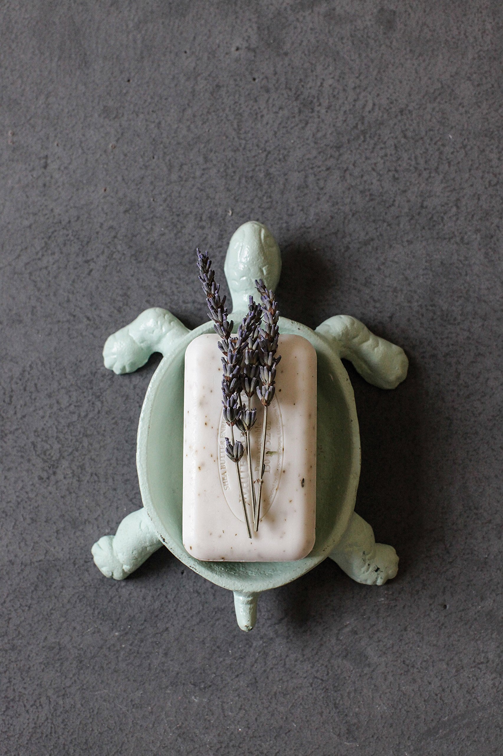 Creative Co-Op Cast Iron Turtle Soap Dish