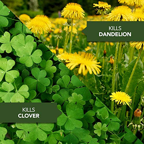 BioAdvanced 3-In-1 Weed and Feed for Southern Lawns, Granules, 12.5 lb, 5,000 Sq Ft