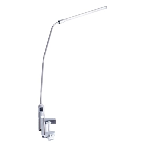 Desk Lamp with Clamp - Modern Contemporary LED Clip on Light for Desk or Table - Accessories for Home Office or Dorm Room by Lavish Home (Silver)