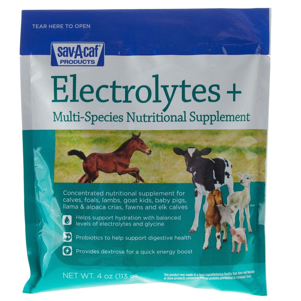 Milk Products 01-7408-0264 Electrolytes Plus Supplement for Livestock, 6-Oz. - Quantity 18 Farm Feed