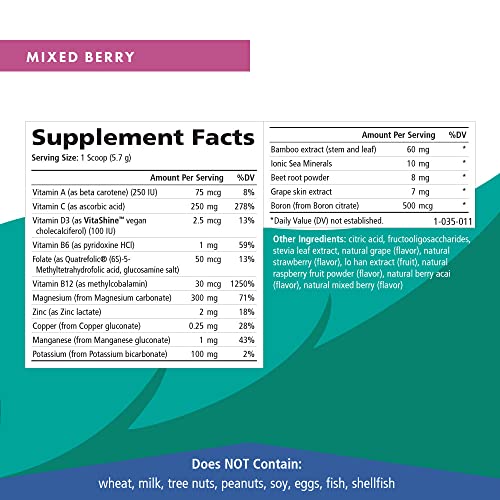 Pure Essence Labs Ionic Fizz Magnesium Plus, Anti-Stress Supplement Drink Powder, Gluten Free and Non-GMO Magnesium Powder (Mixed Berry, 6.03 Ounce (Pack of 1))