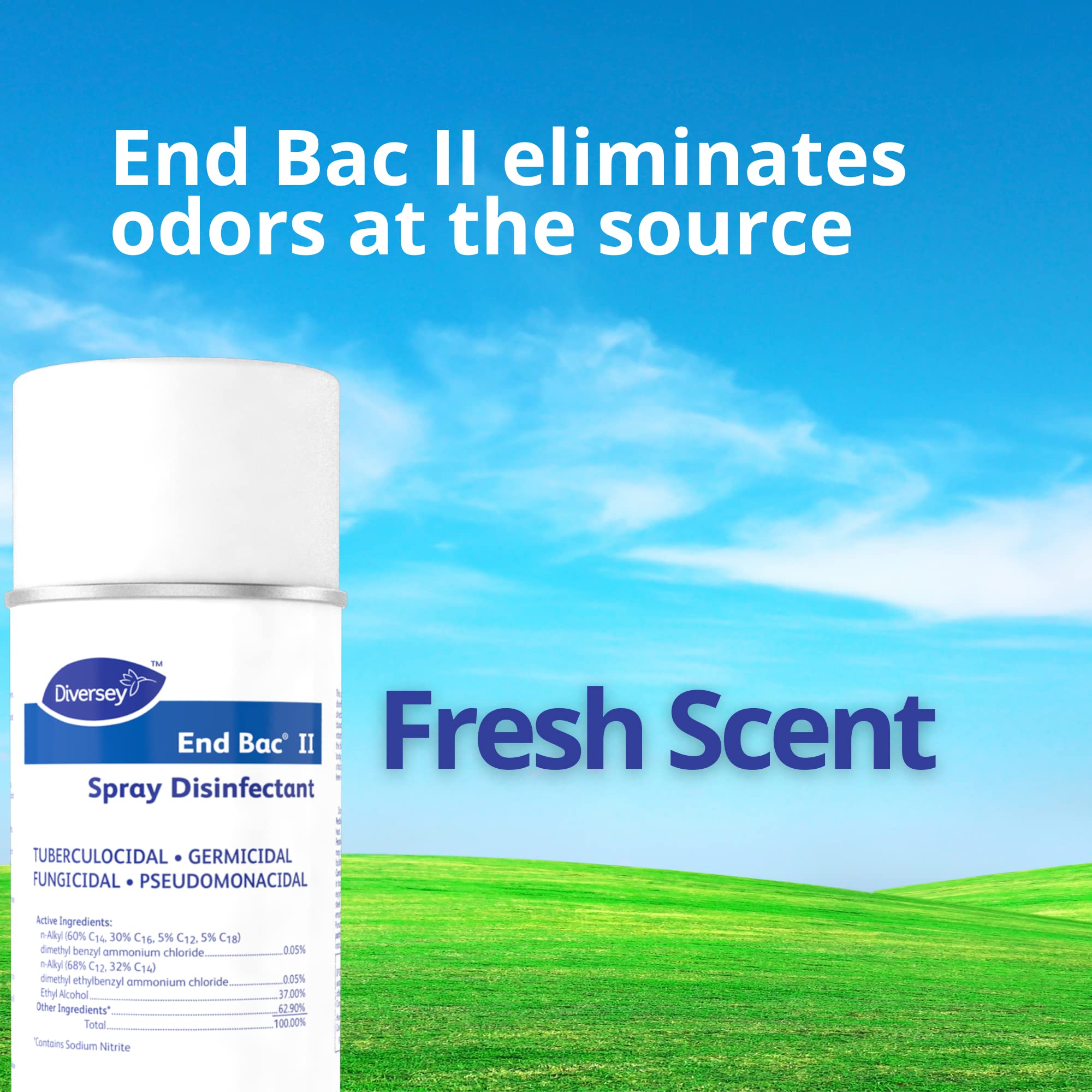 Diversey 04832 End Bac II Spray Disinfectant, Eliminates Odors & Prevents Mold & Mildew, Fresh Scent, Aerosol, 15-Ounce (Pack of 12)
