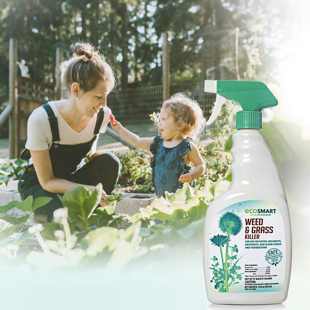 EcoSmart Natural, Glyphosate-Free Weed and Grass Killer Ready-to-Use Spray Formula for Lawns, Patios, Driveways and Pavers, 24 Ounce Bottle