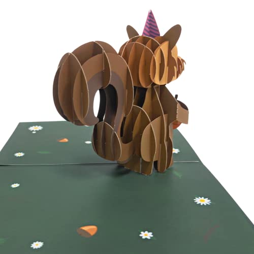 Sleazy Greetings Squirrel Pop Up Birthday Card | Funny Birthday Card for Men Women | Squirrel 3D Greeting Cards 5x7 Inch