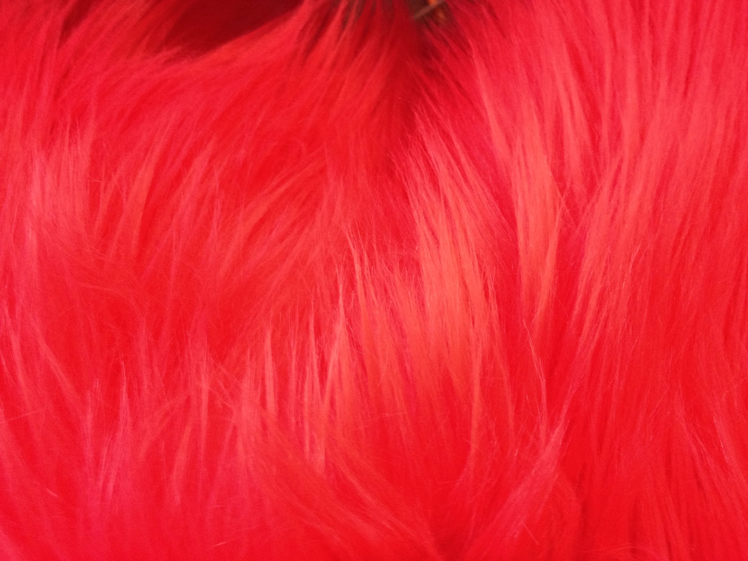 60'' Wide Faux Fur Luxury Shag Fire Red Fabric By the Yard