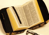 Durable Zippered Book/Bible Cover: Tapestry Fabric Friendly Felines Pattern for Paperback