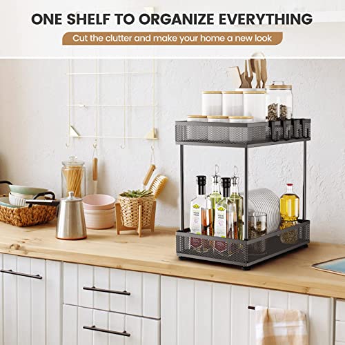 Under Sink Organizers and Storage, Bathroom Cabinet Organizer and Storage, 2 Tier Under Cabinet Organizers and Storage with 4 Hooks, Metal Kitchen Sink Storage Organizer with Non-slip Feet-2 Pack