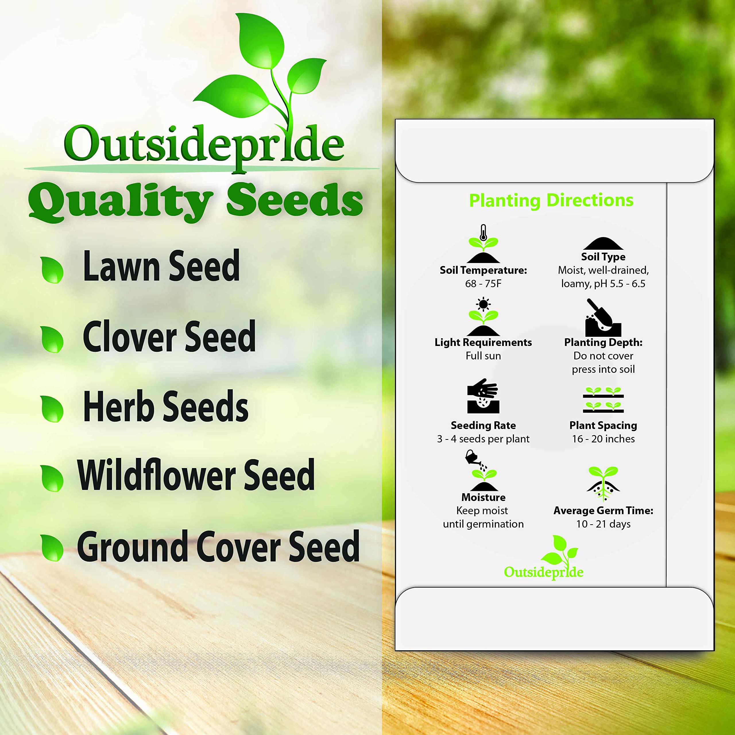 Outsidepride 1000 Seeds Annual Limonium Rose Statice Flower Seeds for Planting