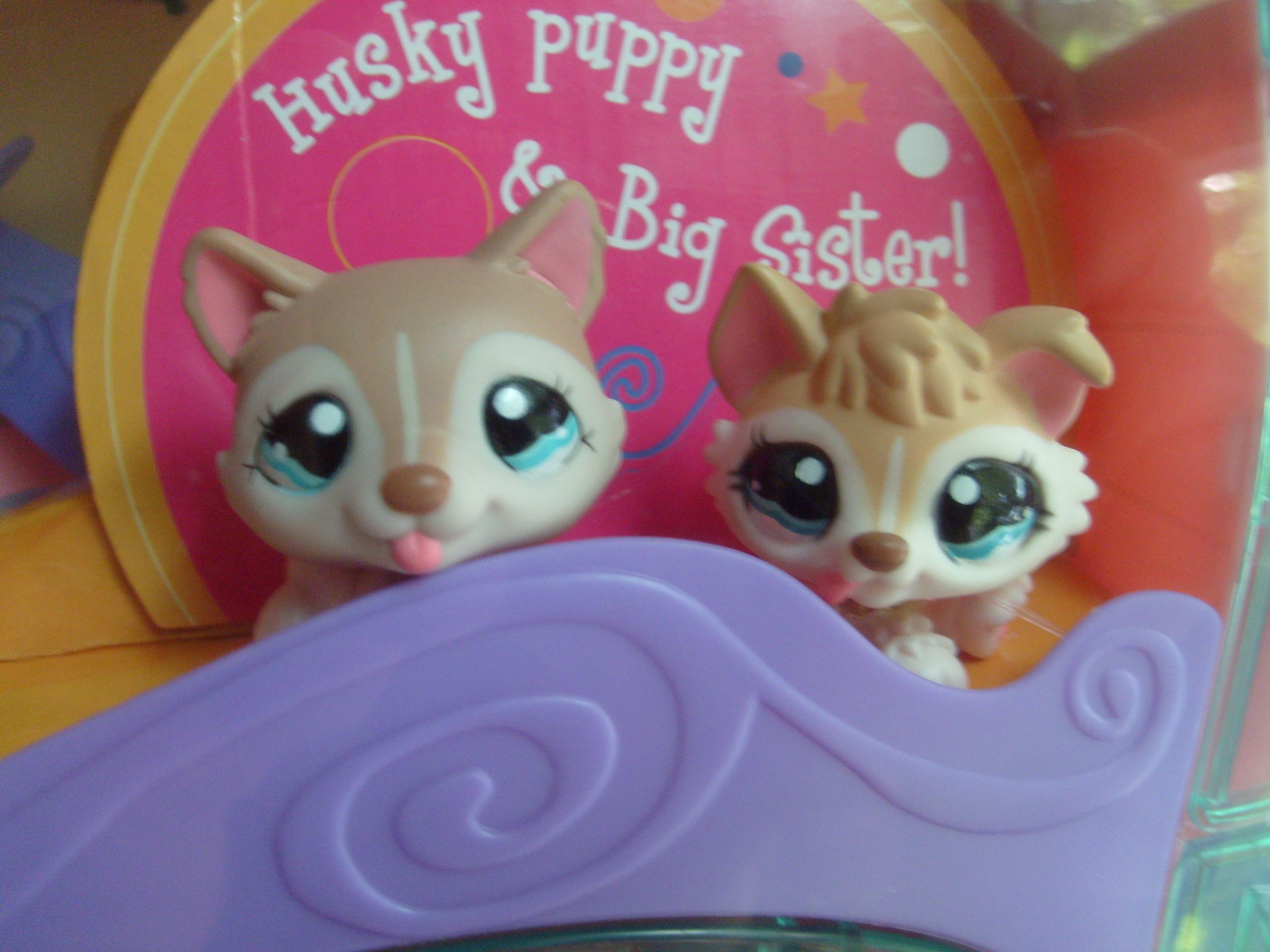 Littlest Pet Shop Pet Cozy Care Adoption Center Playset