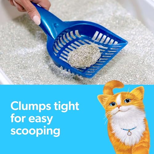 Fresh Step Odor Shield Clumping Litter With Febreze Freshness, 14 lb. Box