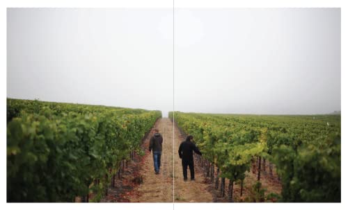 The New California Wine: A Guide to the Producers and Wines Behind a Revolution in Taste