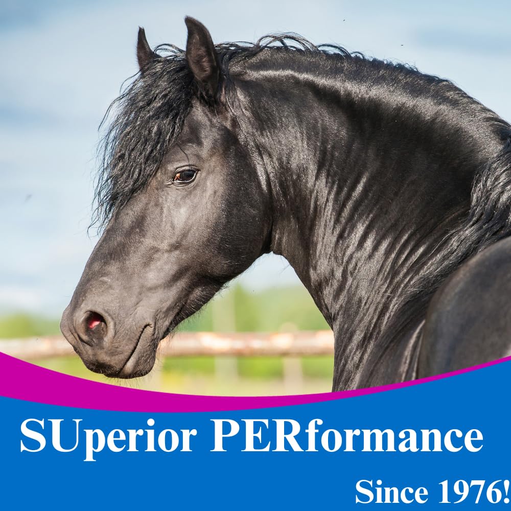 SU-PER B-1 Horse Calming Supplement - Equine Vitamin B-1 Support Horse Calmer Powder - Appetite Booster Supplement for Horses - 2.5 Pounds, (2 Pack)