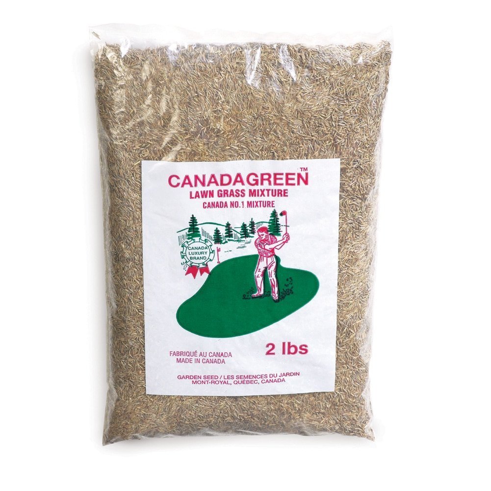 Canada Green Grass Seed - 6 Pound Bag