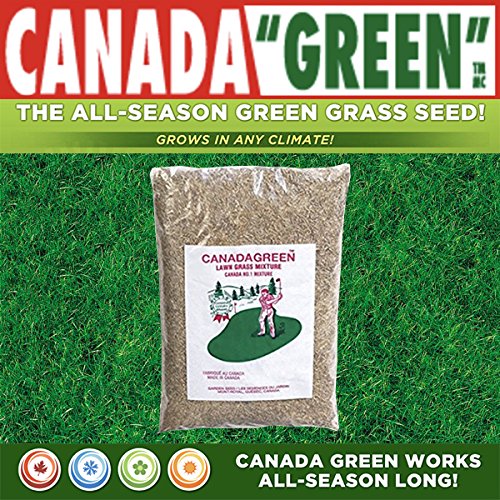 Canada Green Grass Seed - 6 Pound Bag