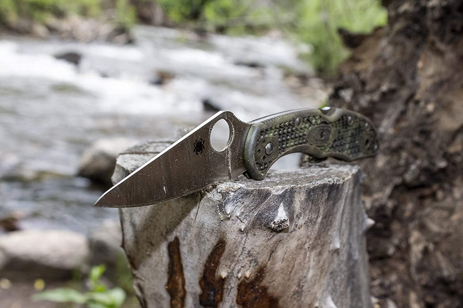 Spyderco Delica 4 Lightweight Signature Knife with 2.9" Saber-Grind Steel Blade and High-Strength FRN Handle - CombinationEdge - C11PSBK