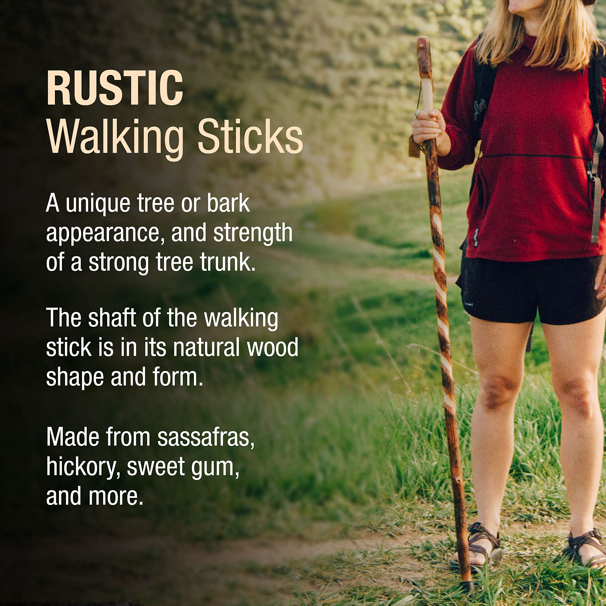 Brazos Rustic Wood Walking Stick, Twisted Hickory, Traditional Style Handle, for Men & Women, Made in the USA, 48"