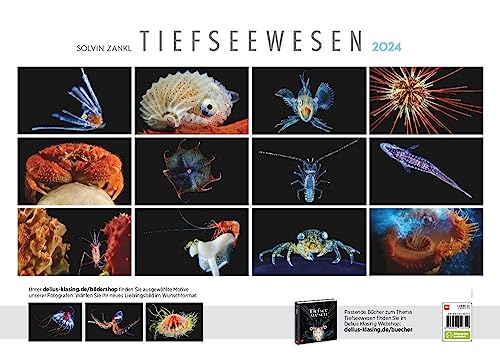 Tiefseewesen 2024