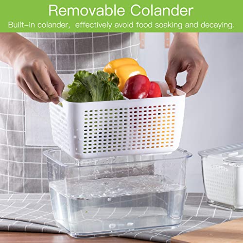 LUXEAR Vegetable Containers for Fridge Produce Saver Container Fruit Storage Organizer 3 Pack BPA-Free Fridge Organize Containerswith Lid & Colander for Salad Lettuce Berry Storage Stay Fresh