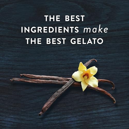 Talenti Gelato For a Delicious Frozen Dessert Madagascan Vanilla Bean Made with Ingredients 1 pint