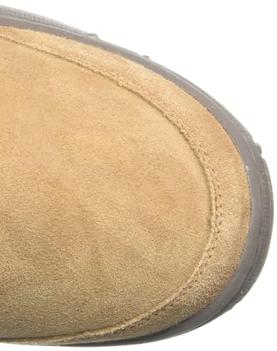 UGG Women's Sunburst Tall Boot, Chestnut, 10
