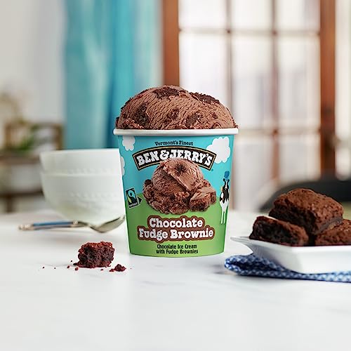 Ben & Jerry's Chocolate Fudge Brownie Ice Cream Pint Non-GMO 16 oz