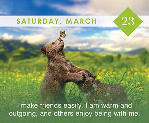 I Can Do It® 2024 Calendar: 366 Daily Affirmations
