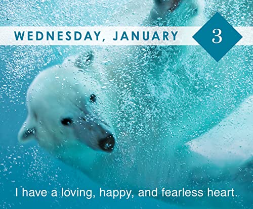 I Can Do It® 2024 Calendar: 366 Daily Affirmations