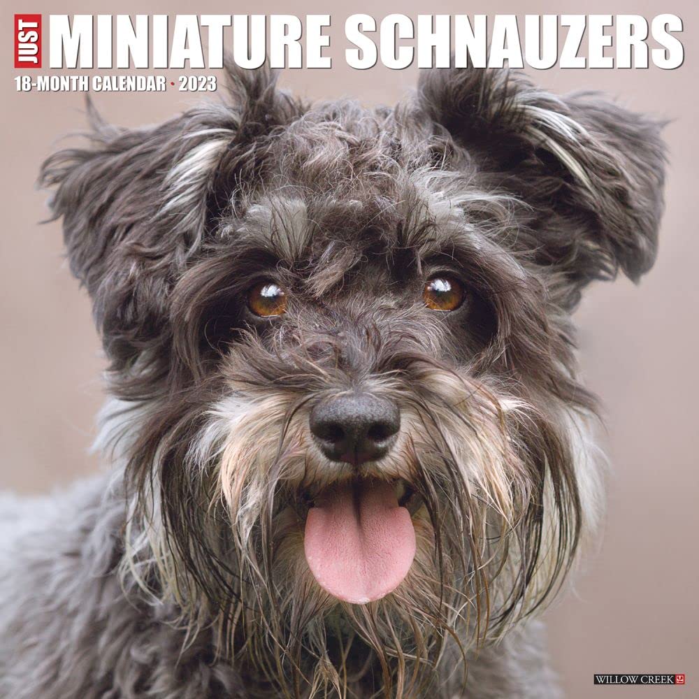 Just Miniature Schnauzers 2023 Wall Calendar