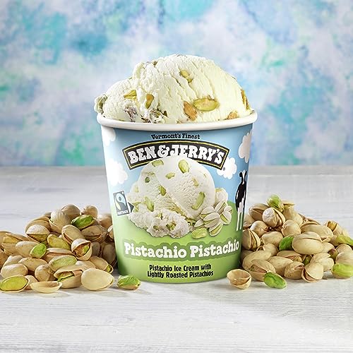 Ben & Jerry's Pistachio Pistachio Ice Cream Pint Non-GMO 16 oz