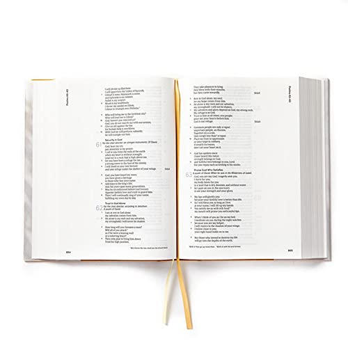 CSB Lifeway Women's Bible, Camel Cloth Over Board, Black Letter, Single-Column, Wide-Margins, Devotions, Articles, Word Studies, Character Profiles, Easy-to-Read Bible Serif Type
