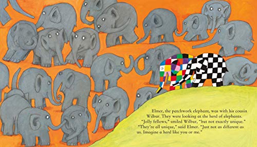 Elmer and Rose (Elmer Picture Books)