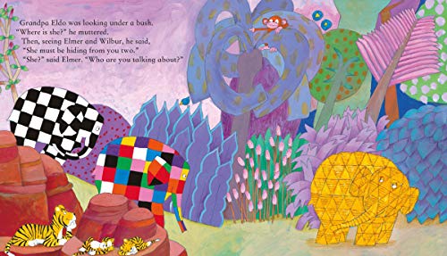 Elmer and Rose (Elmer Picture Books)