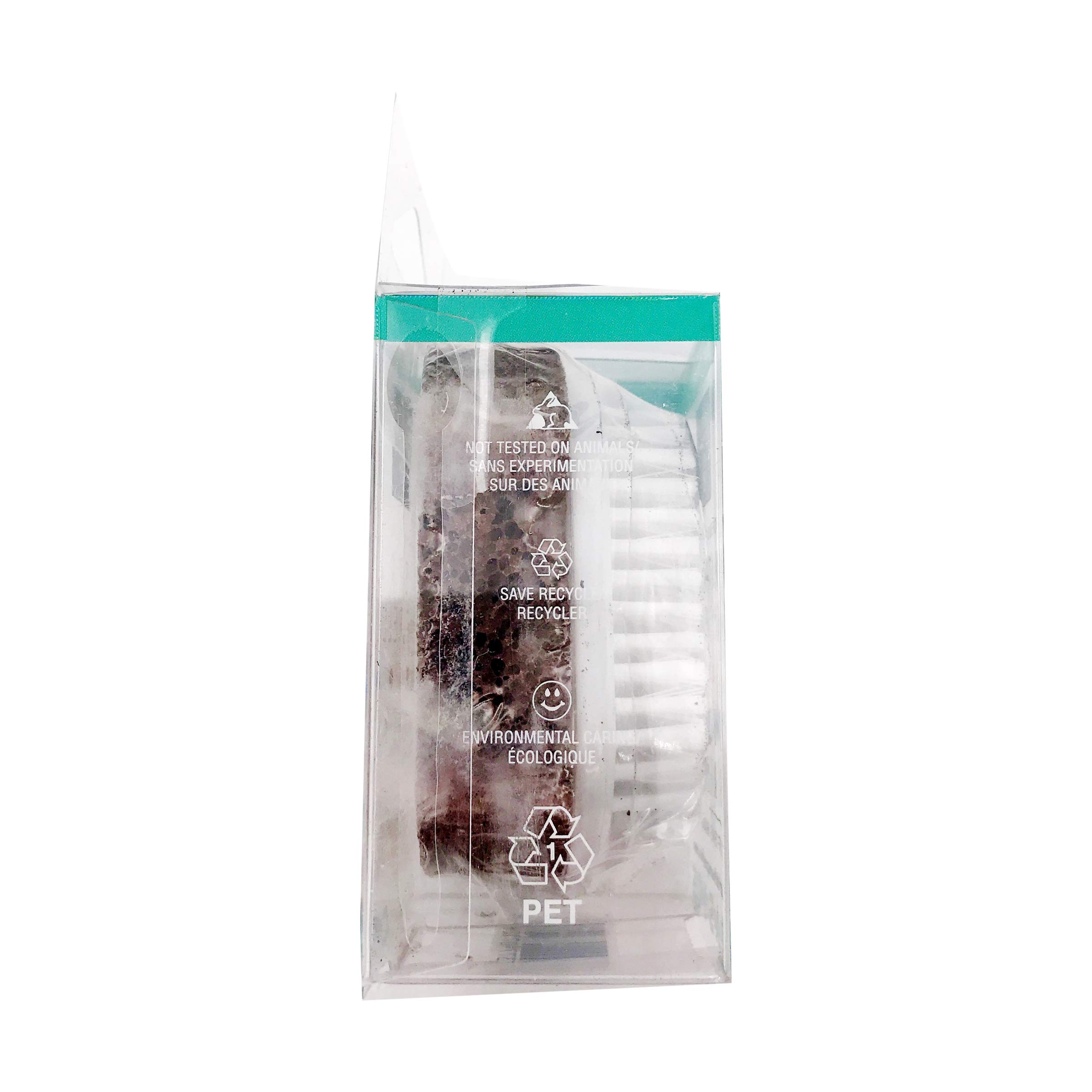 EARTH THERAPEUTICS Pumice Stone with Brush, 1 EA