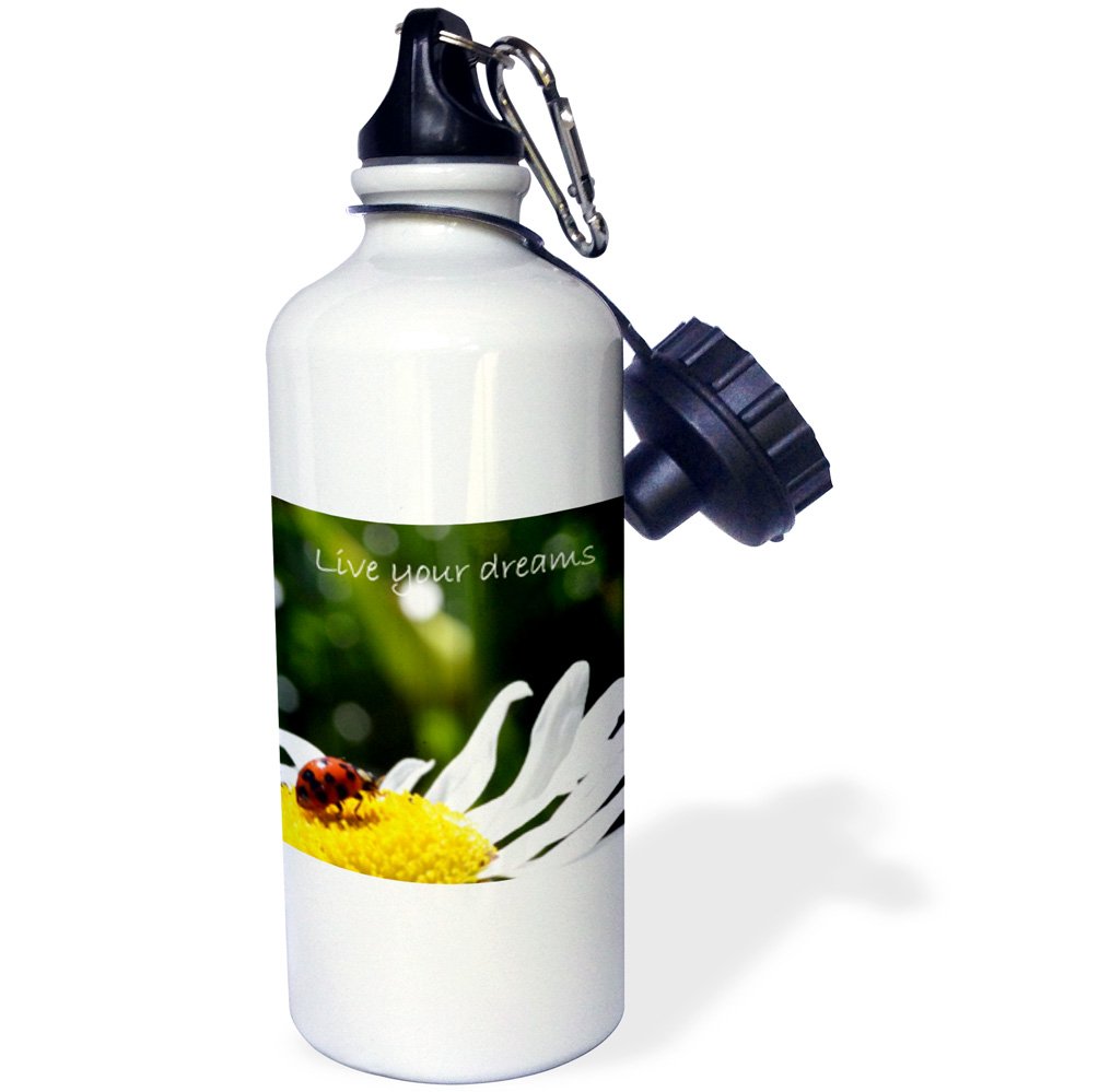 3dRose "Inspirational Ladybug" Sports Water Bottle, 21 oz, White