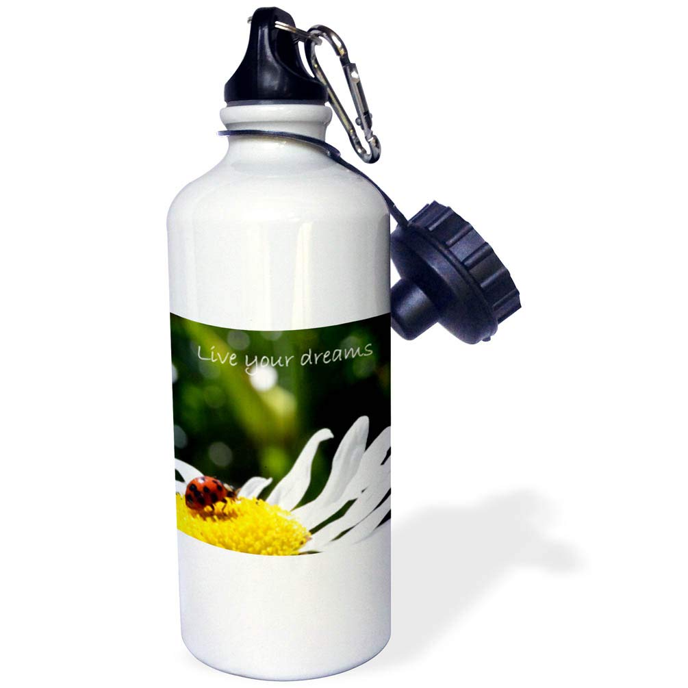 3dRose "Inspirational Ladybug" Sports Water Bottle, 21 oz, White