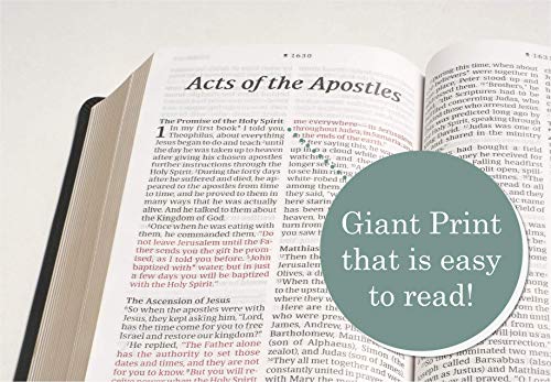 NLT Personal Size Giant Print Bible, Filament Enabled (LeatherLike, Black/Onyx, Red Letter): Includes Free Access to the Filament Bible App Delivering ... Notes, Devotionals, Worship Music, and Video