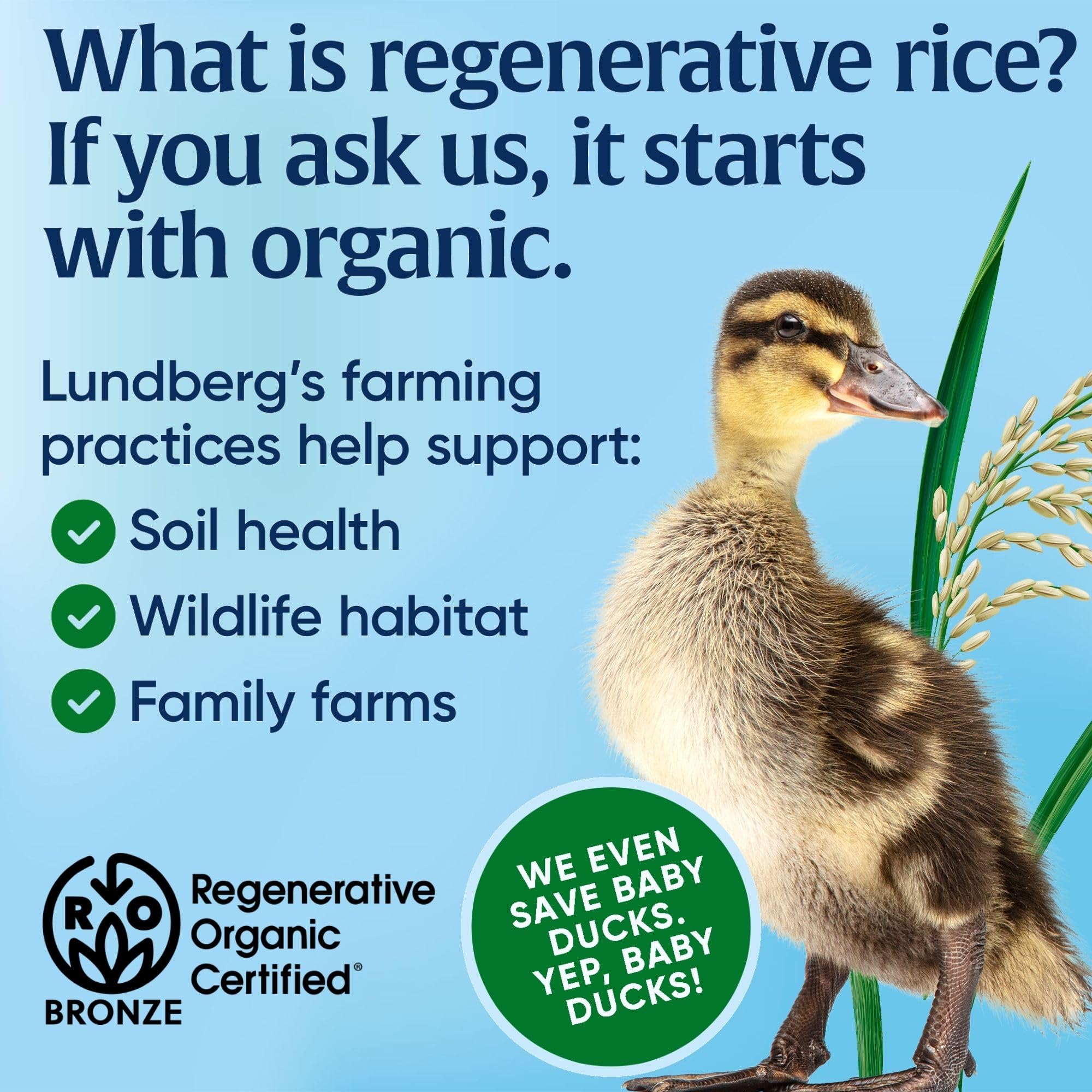 Lundberg Sushi Rice, Sticky White Japanese-Style Short Grains, Regenerative Organic Certified, 32 Oz