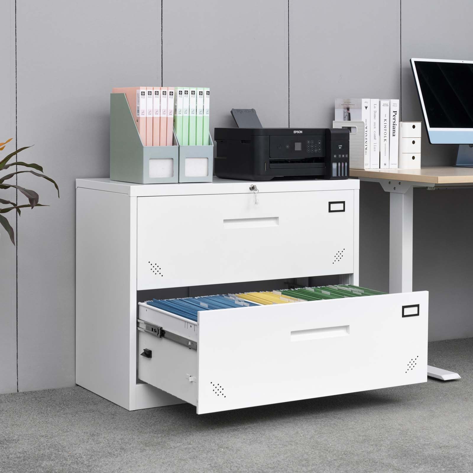 DUNTRKDU 2 Drawer Metal Lateral File Cabinet with Anti-tilt Mechanism for Legal/Letter A4 Size, Large Deep Drawers Locked by Keys, Storage Filing Cabinet for Home Office, Easy to Assemble (White)
