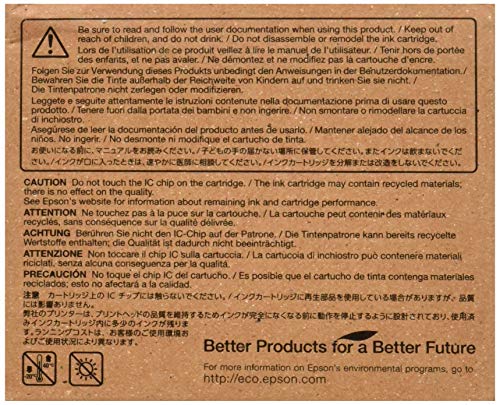 Epson T850800 T850 UltraChrome HD Matte Black -Ink