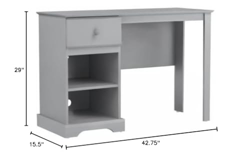 Agnus.W Wood Kids Desk with 1 Drawer and 2 Shelf Storage, Gray