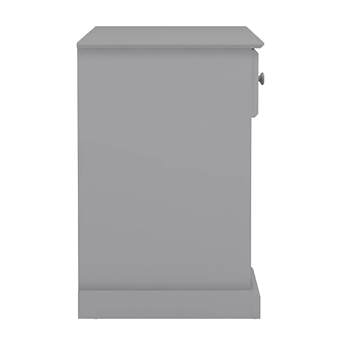 Agnus.W Wood Kids Desk with 1 Drawer and 2 Shelf Storage, Gray