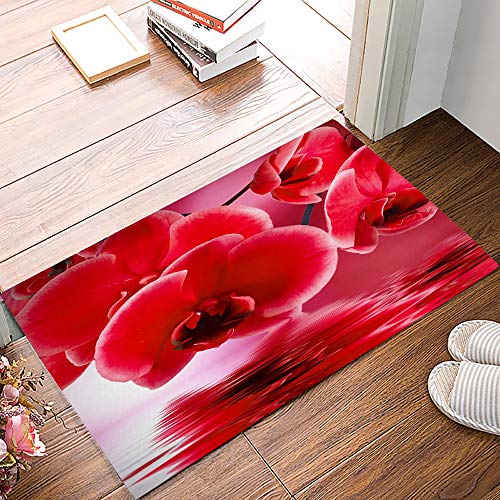 Indoor Doormat Front Door Mat, 20"x32" Non Slip Backing Washable Absorbent Floor Rug for Entrance,Porch,Kitchen, Red Phalaenopsis Flower on Water
