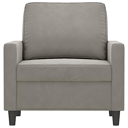 ULUYYUC Sofa Chair,Sofa Parlor Set Guest Sofa Couple seat Sofa Funky Sofa with Armrests Suitable for Living Room Apartment Home Office Light Gray 23.6" Velvet