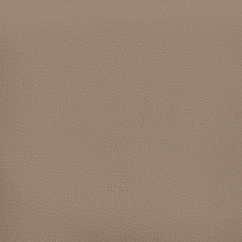 GOLINPEILO Modern Loveseat Sofa Couch 2-Seater Sofa, Small Upholstered Sofa for Bedroom, Apartment, Office,Small Spaces, Cappuccino 54.3"x30.3"x31.5" Faux Leather -AA