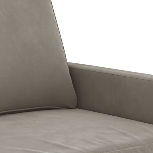 ULUYYUC Sofa Chair,Sofa Parlor Set Guest Sofa Couple seat Sofa Funky Sofa with Armrests Suitable for Living Room Apartment Home Office Light Gray 23.6" Velvet