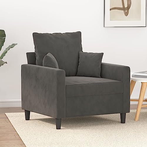 ULUYYUC Sofa Chair,Lounge Sofa Modern Sofa Funky Sofa Living Room Furniture with Armrests Suitable for Living Room Apartment Home Office Dark Gray 23.6" Velvet